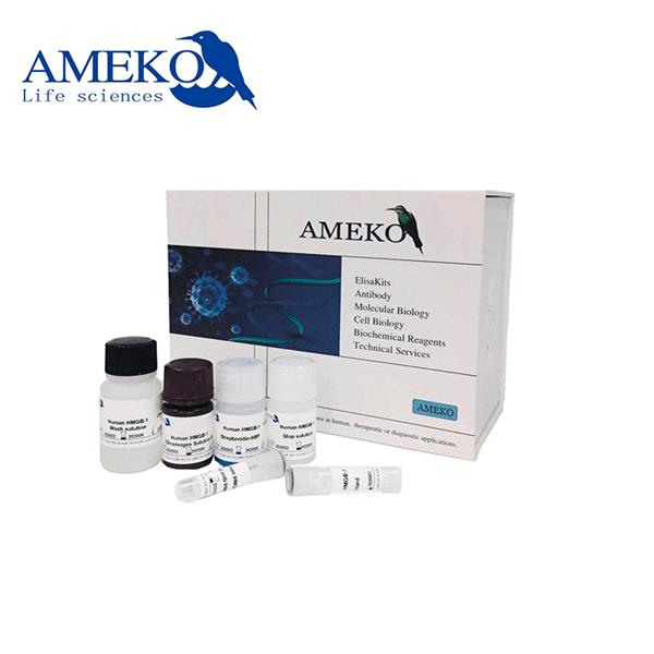 人环磷酸腺苷(cAMP)ELISA Kit - 浙江鹿森生物科技有限公司